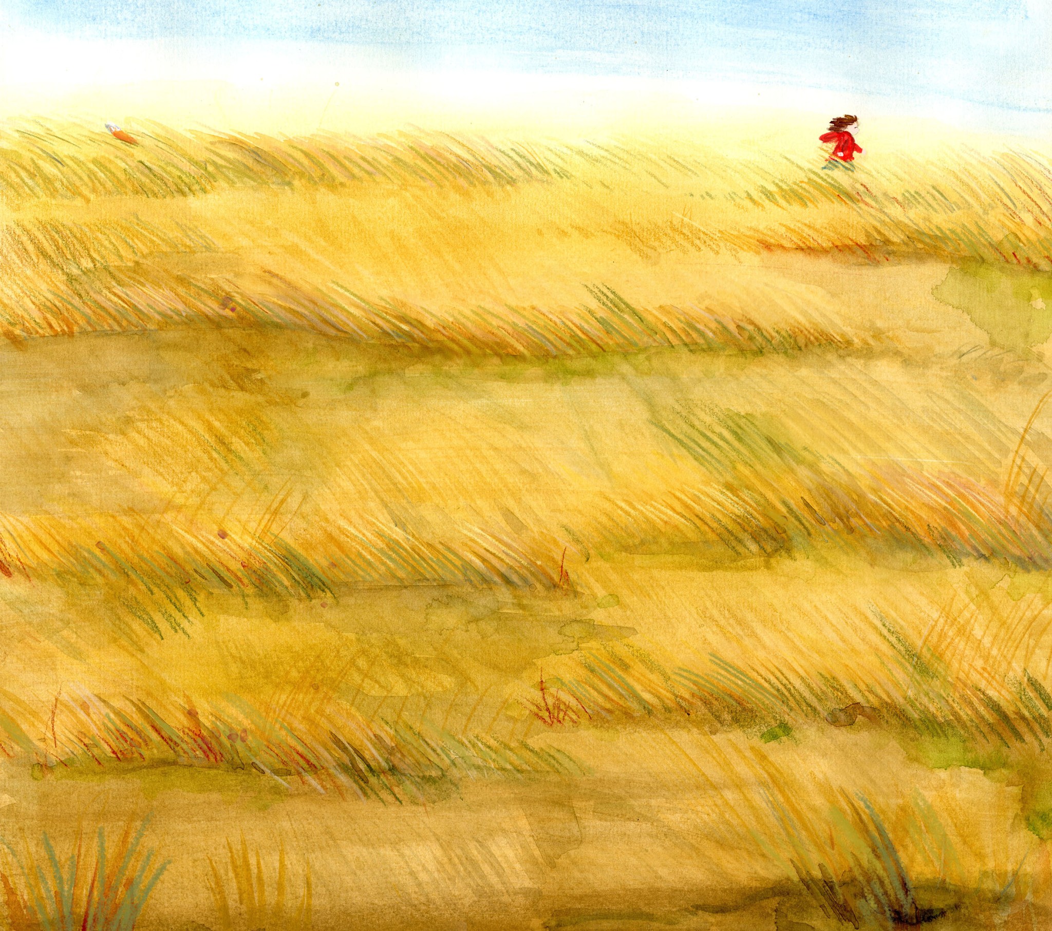 illustrator & author