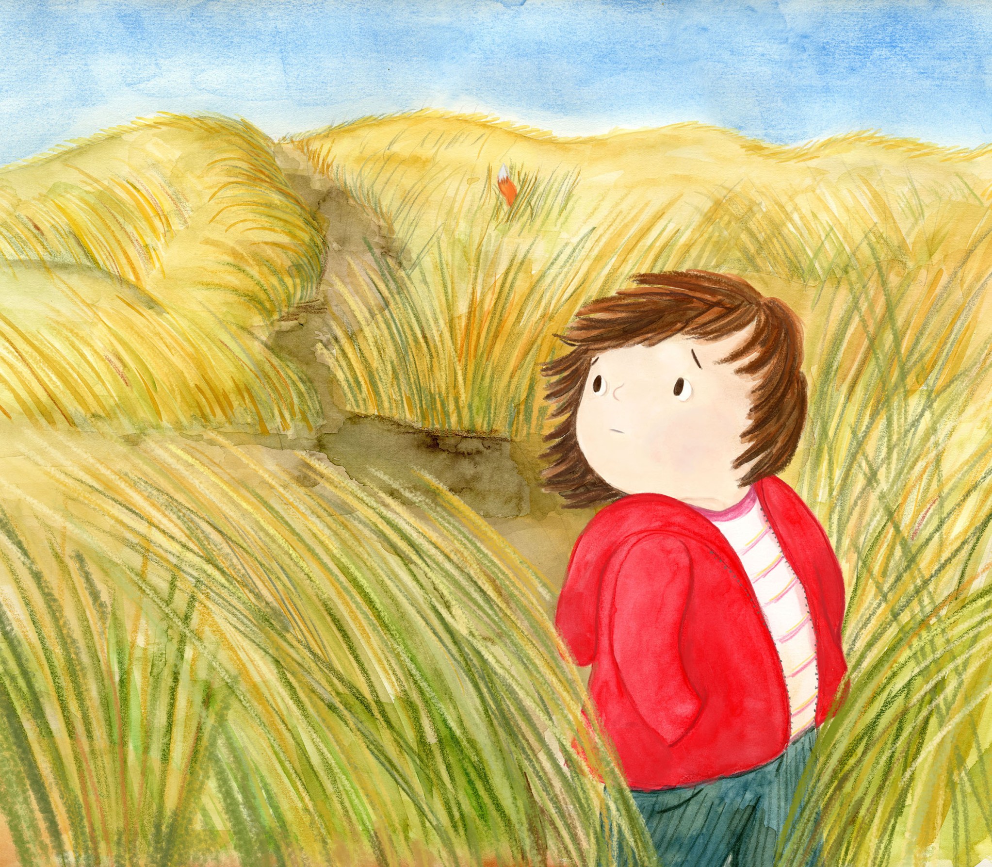 illustrator & author
