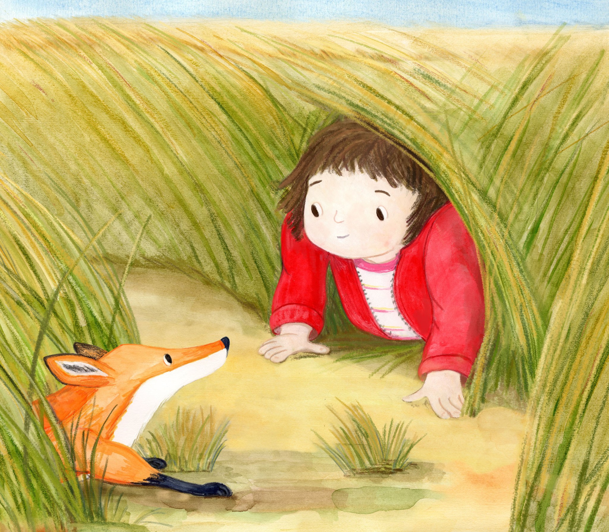 illustrator & author
